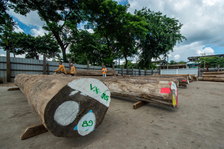 Forests and Forestry | Open Development Myanmar