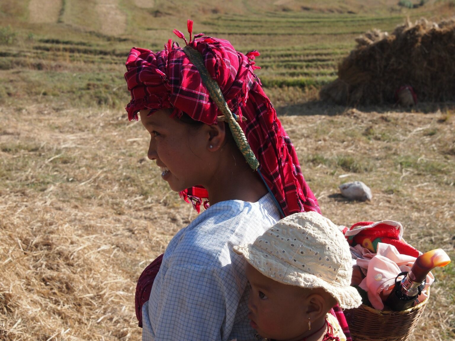 သစ်တောများ ထိန်းသိမ်းစောင့်ရှောက်ရေး | Open Development Myanmar