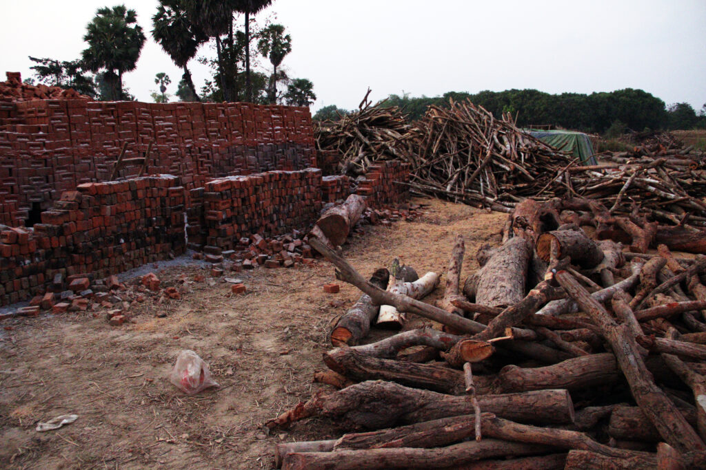 သစ်တောများ ထိန်းသိမ်းစောင့်ရှောက်ရေး | Open Development Myanmar